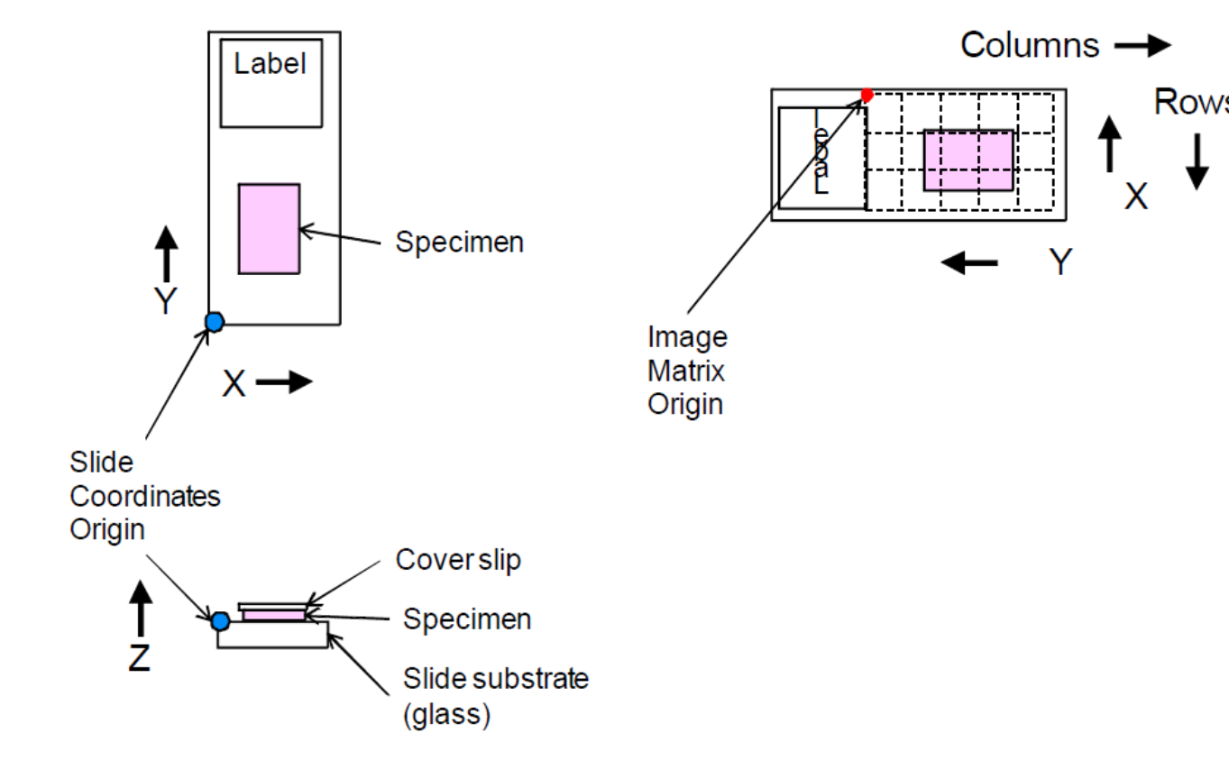 【论文笔记】Weakly supervised multiple instance learning histopathological ...