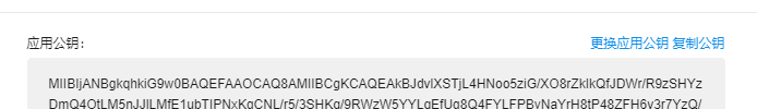 Java支付宝支付开发沙箱模拟支付宝开发模拟账号 Csdn博客 