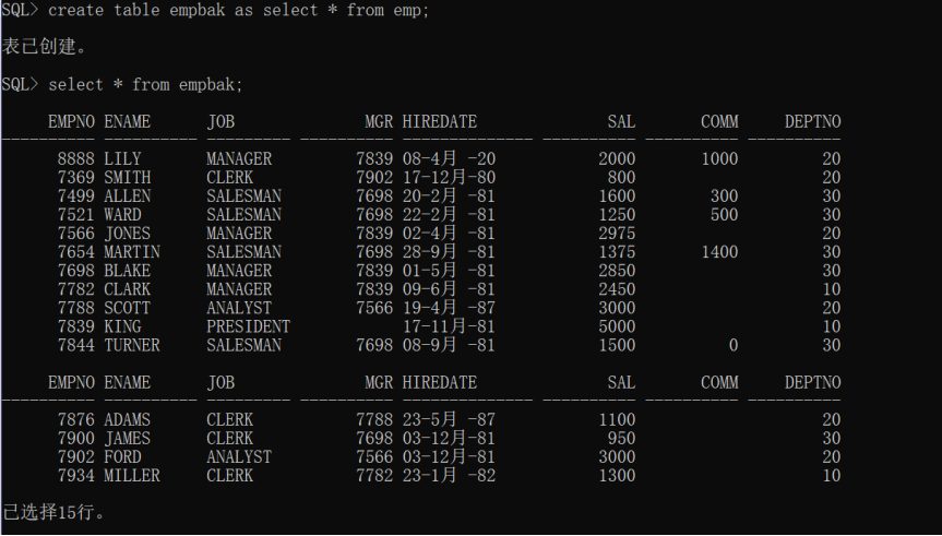 Oracle的数据操作_将自己的信息插入到emp表-CSDN博客