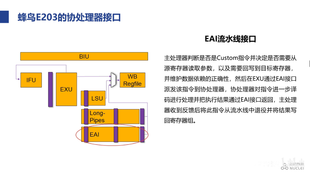 RISC_V学习之蜂鸟E203低功耗机制与可扩展协处理器_蜂鸟e203是基于sifive-CSDN博客