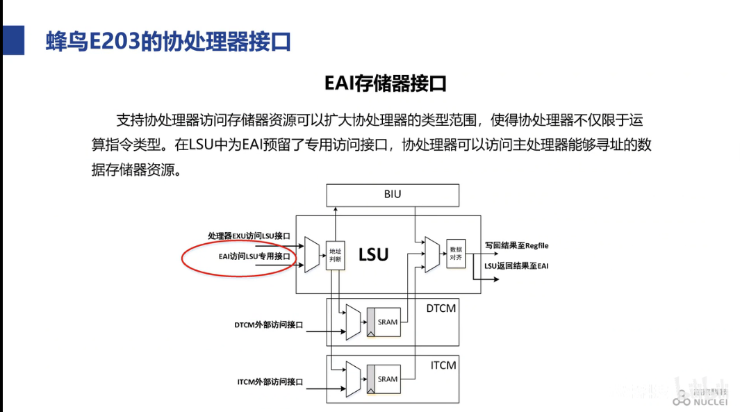 RISC_V学习之蜂鸟E203低功耗机制与可扩展协处理器_蜂鸟e203是基于sifive-CSDN博客