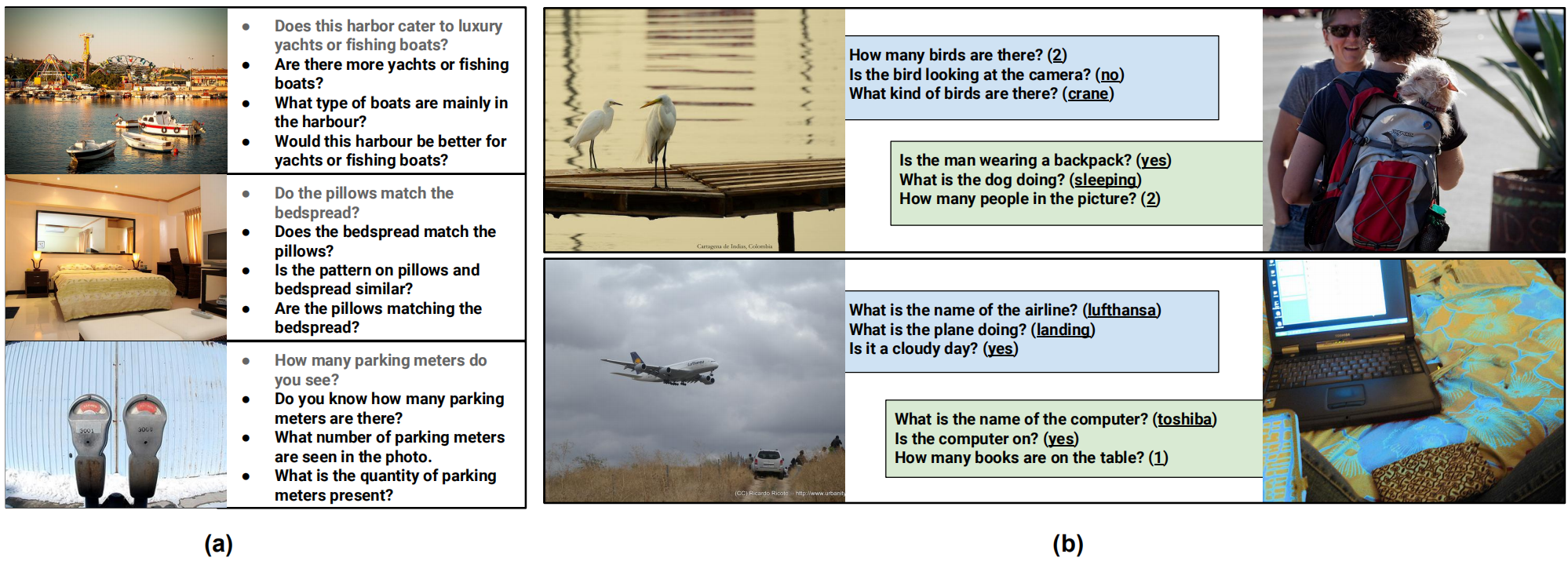 2019年, VQA论文汇总_vqa bias-CSDN博客