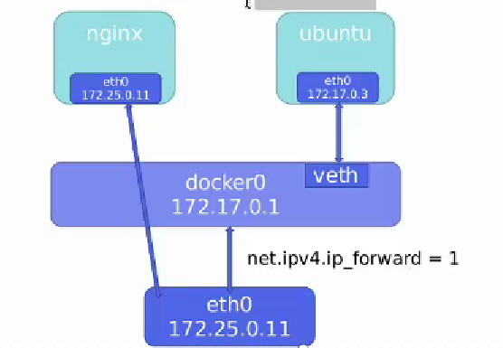 Docker（九）--- docker网络详解_docker subnet-CSDN博客