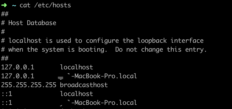 Mac笔记本本地localhost web项目访问特别慢_mac 127.0.0.1访问慢-CSDN博客