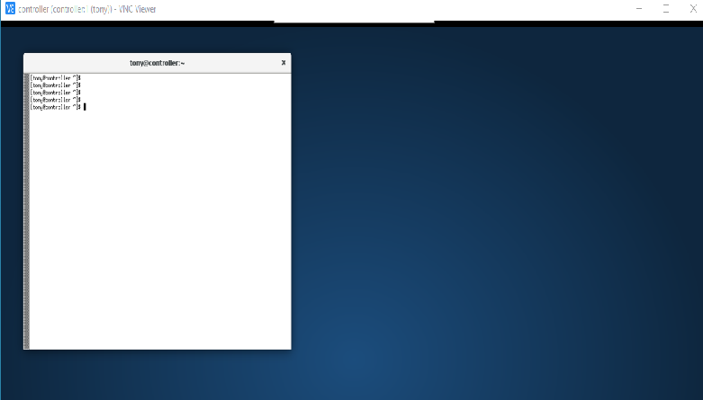 Linux下配置简单的图形桌面环境_linux mutter-CSDN博客