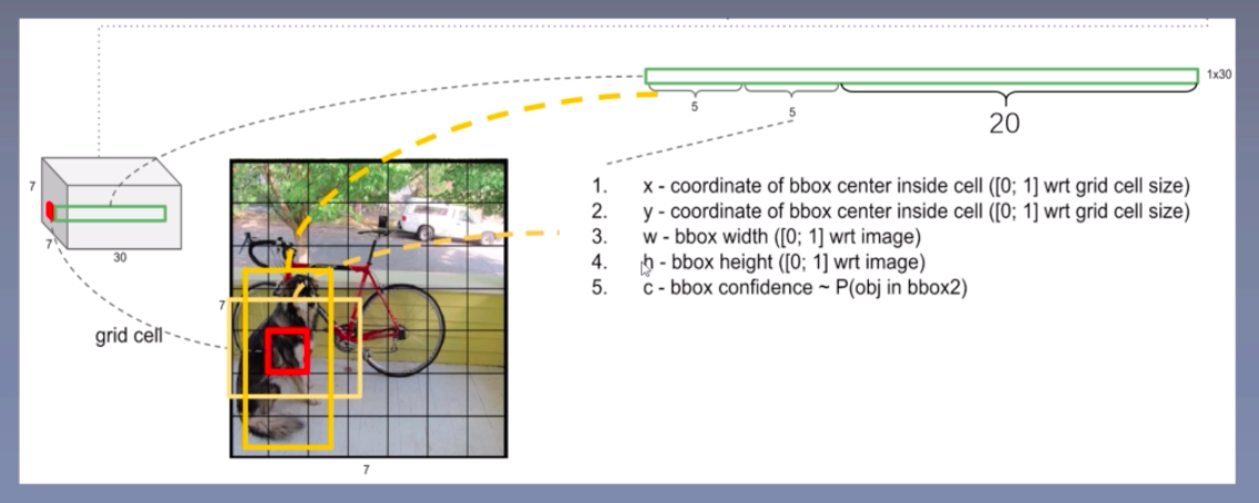 YOLO v1_sxsxc类预测中的s是什么-CSDN博客