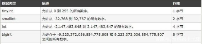 Mssql数据类型 整数数据类型bigint、int、smallint、tinyintbigint 64能存多少 Csdn博客