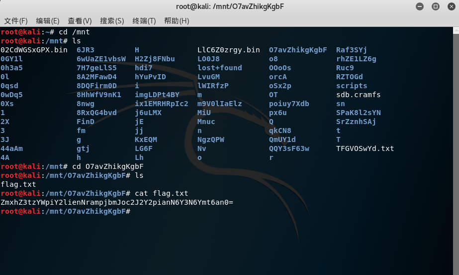 CTF-misc(ext3)_ext3 ctf-CSDN博客