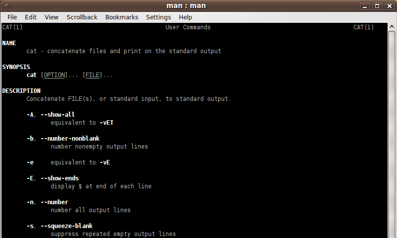 linux下cat命令使用方法【非常全】_linux中的cat操作是-CSDN博客