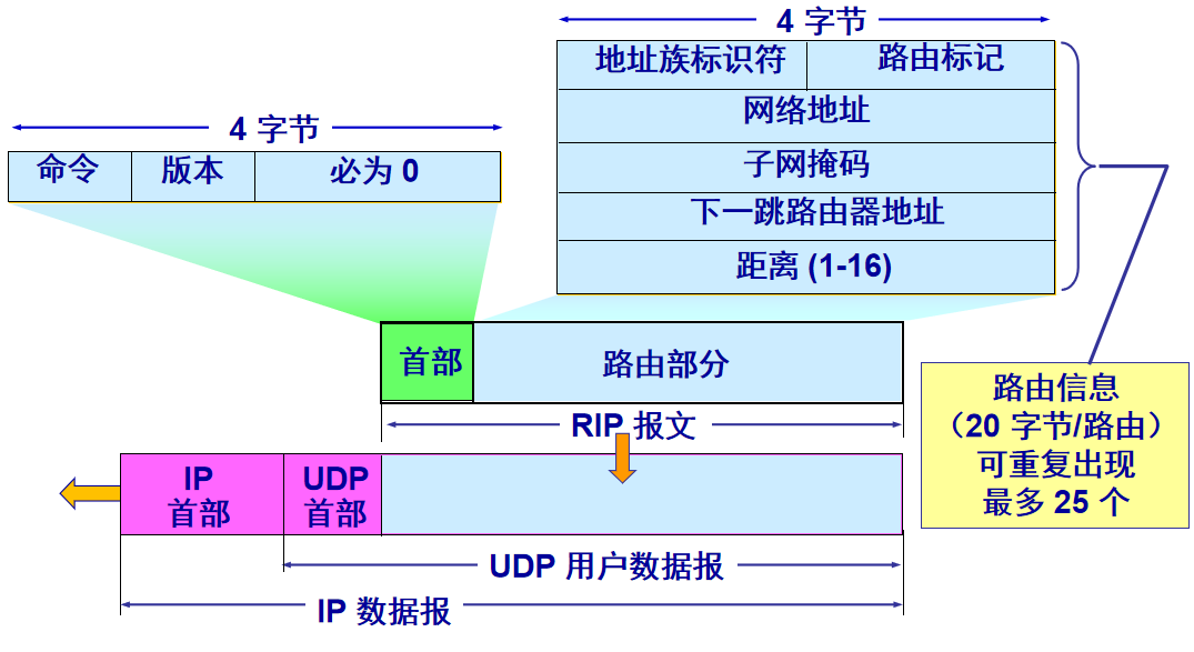 路由选择协议 RIP、OSPF、BGP 详解_bgp ospf rid-CSDN博客