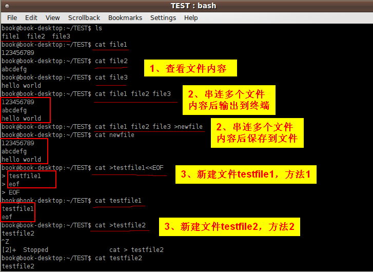 linux下cat命令使用方法【非常全】_linux中的cat操作是-CSDN博客