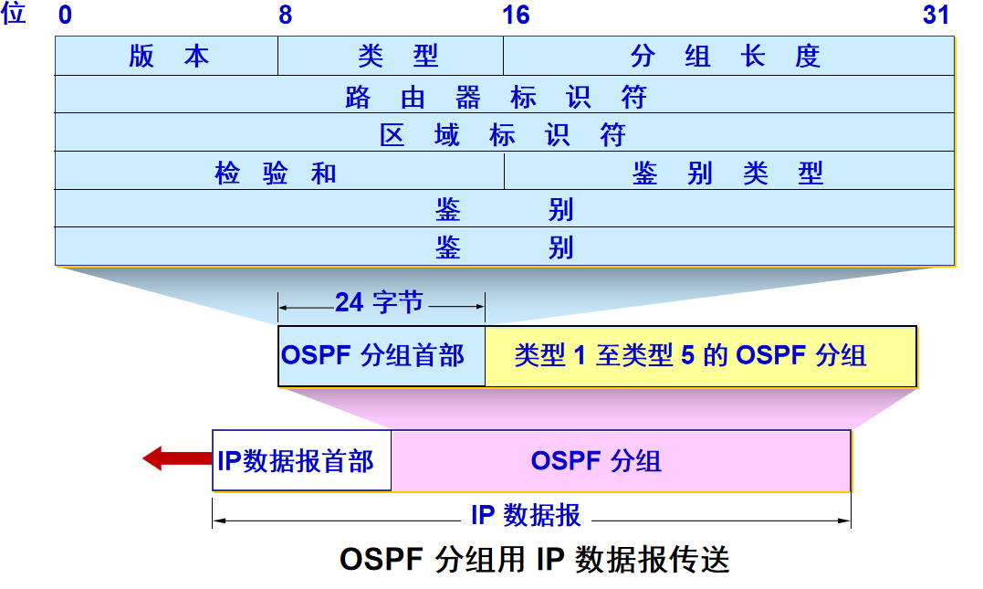 路由选择协议 RIP、OSPF、BGP 详解_bgp ospf rid-CSDN博客