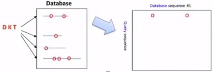 轻松理解BLAST搜索原理_blast检索的原理-CSDN博客