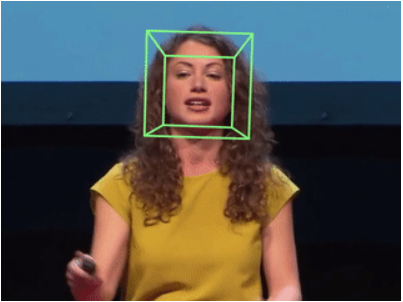 关于人脸关键点的数据集WFLW数据预处理-CSDN博客