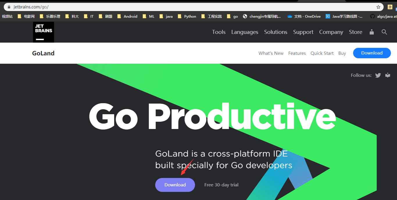 Goland 2020.1 创建并运行一个go项目_goland运行一个go项目-CSDN博客