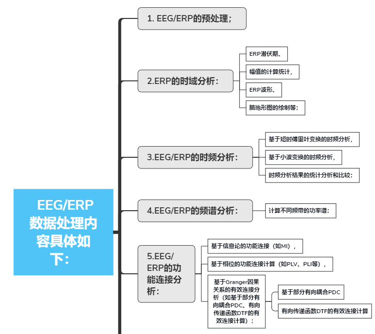 【思维导图】我用一张图理解了EEG/ERP数据处理的大致框架_学erp思维导图-CSDN博客