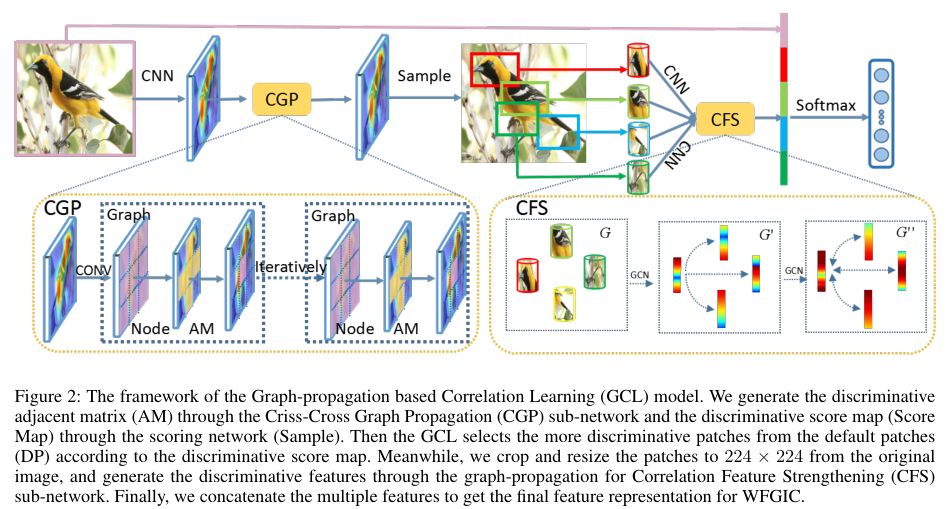 Graph-propagation based Correlation Learning for Weakly Supervised Fine-grained Image ...