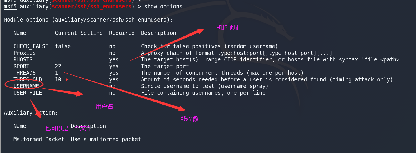 Metasploit实战之-SSH暴力破解过程_metaspoit查找sshlogin-CSDN博客