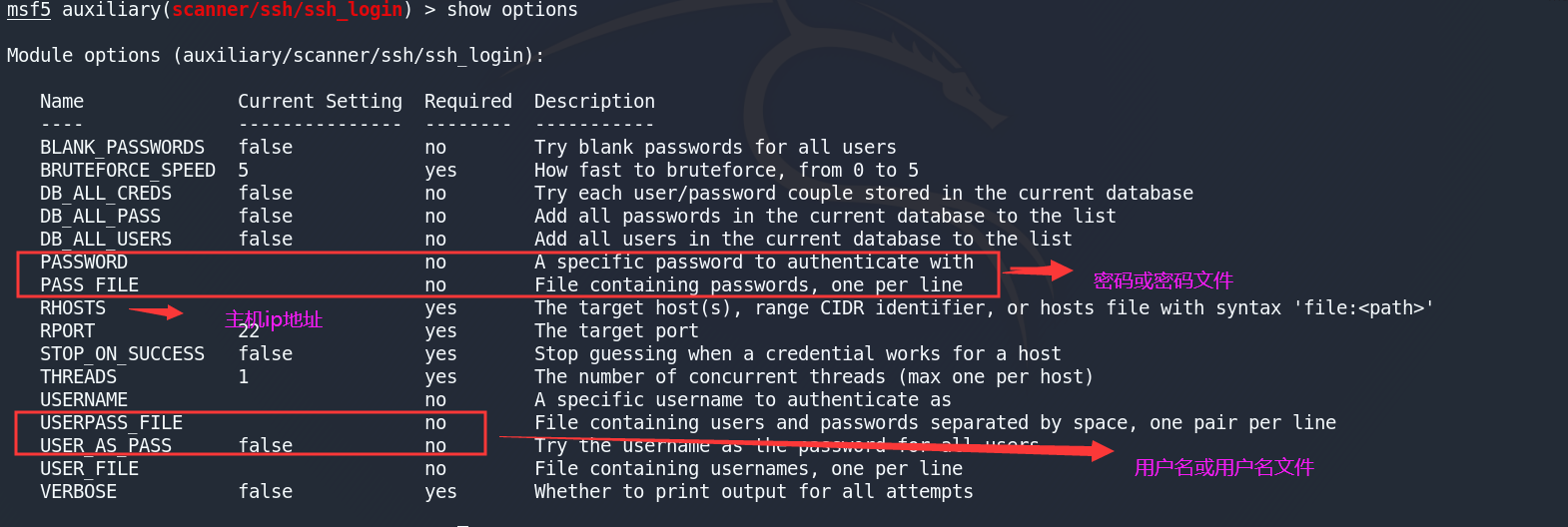 Metasploit实战之-SSH暴力破解过程_metaspoit查找sshlogin-CSDN博客