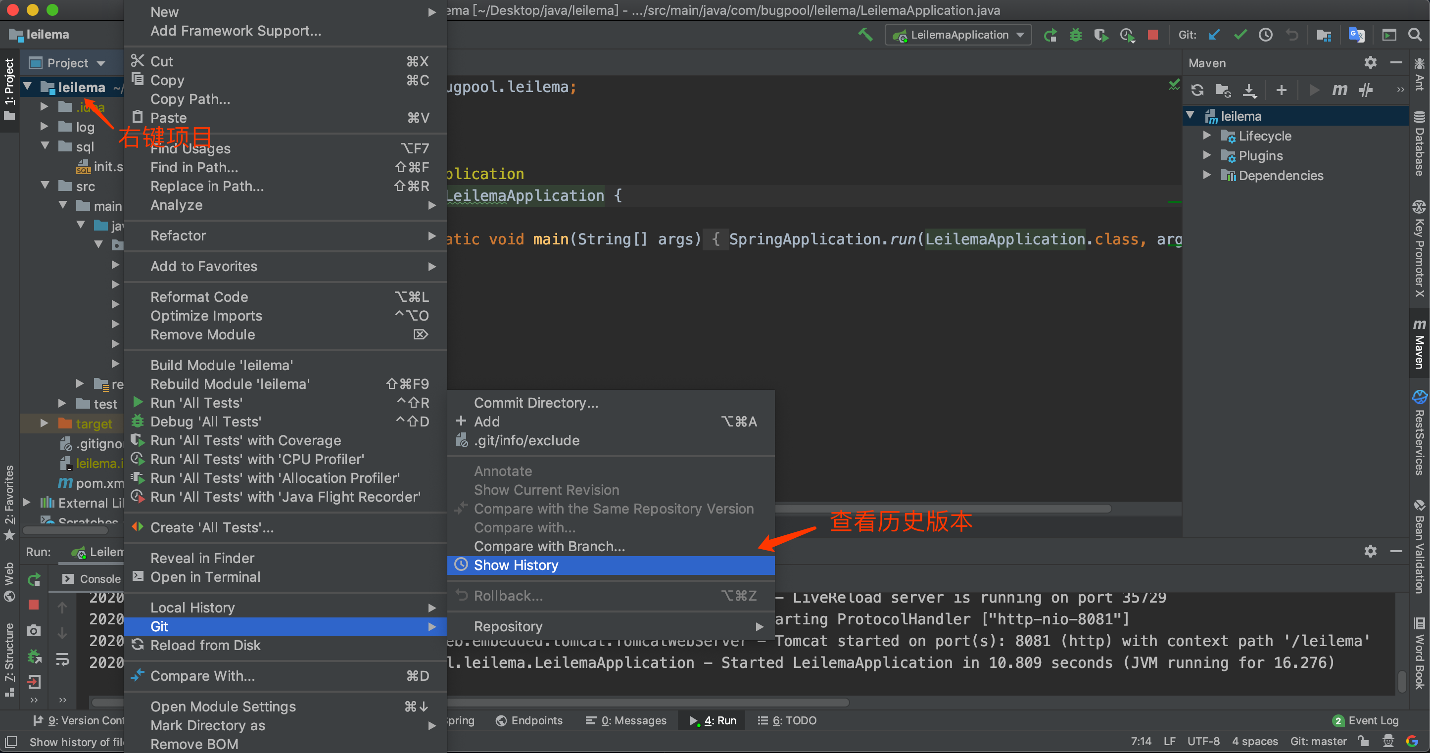 一步到位springboot 02：累了吗项目、获取源代码、插件安装_spingboot代码拉取-CSDN博客