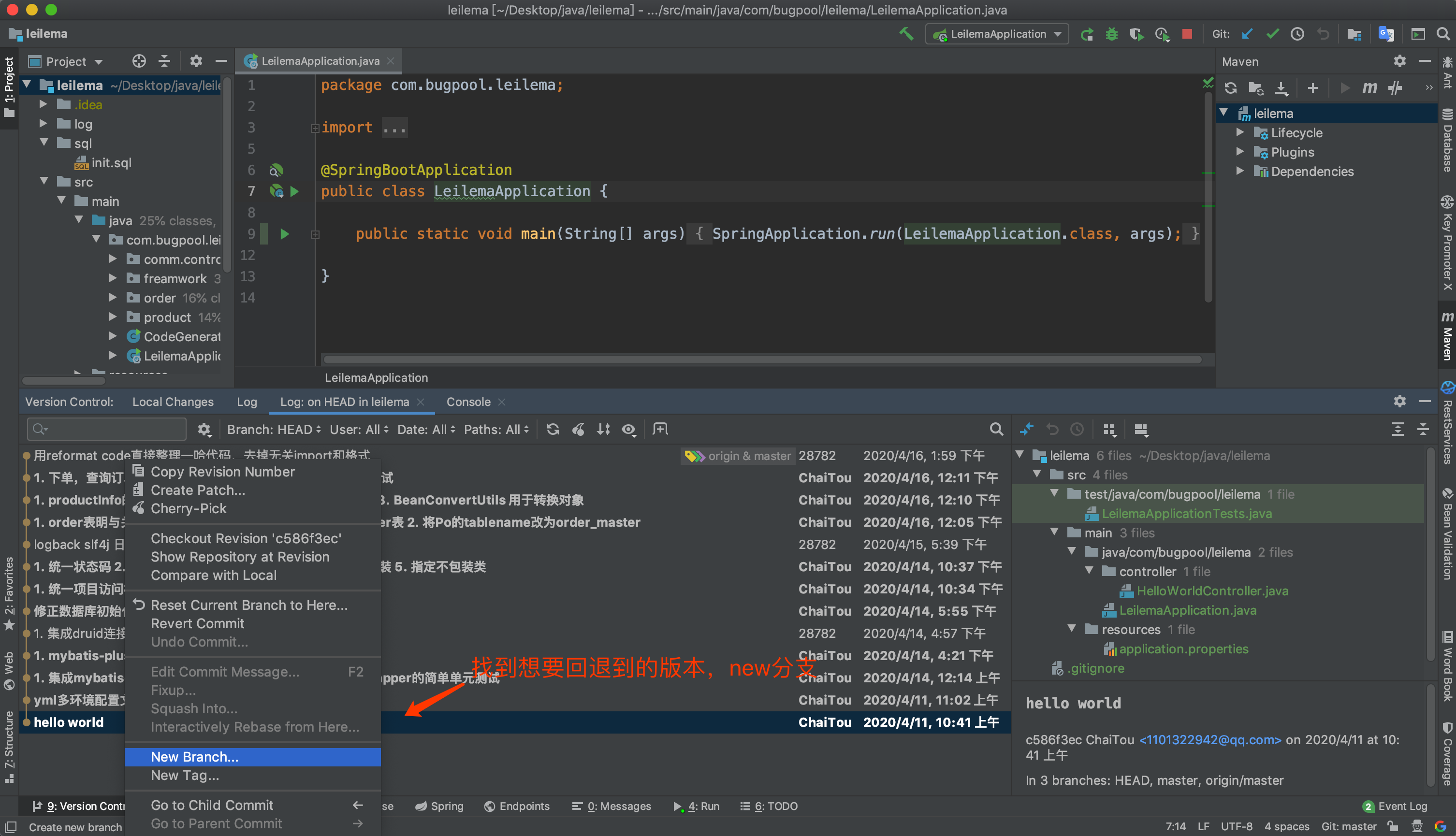 一步到位springboot 02：累了吗项目、获取源代码、插件安装_spingboot代码拉取-CSDN博客