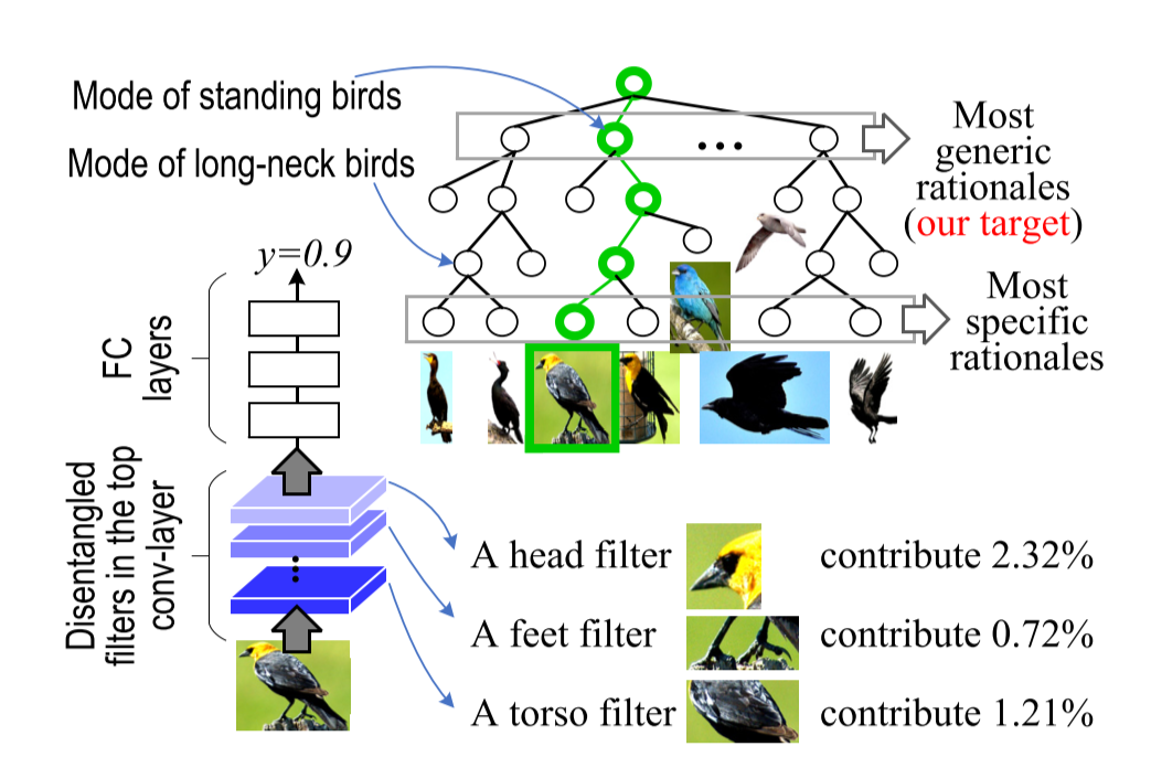 笔记：Interpreting CNNs via Decision Trees-CSDN博客