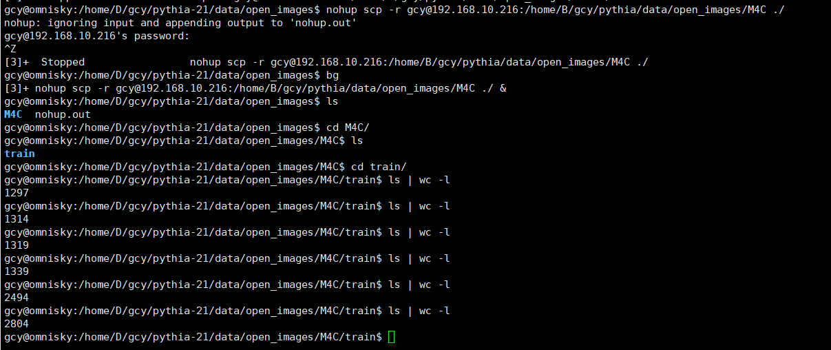nohup后台运行scp传输巨量文件必备_nohup scp-CSDN博客