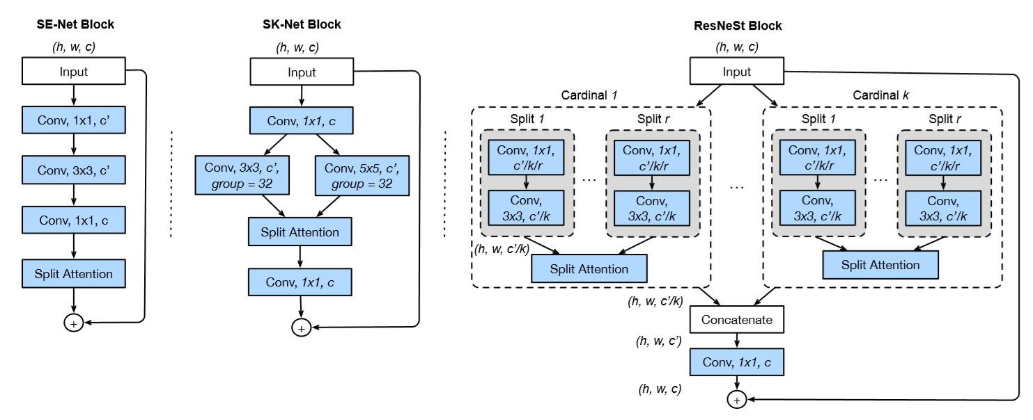 【ResNeSt】ResNeSt:Split-Attention Networks_One__Coder的博客-CSDN博客