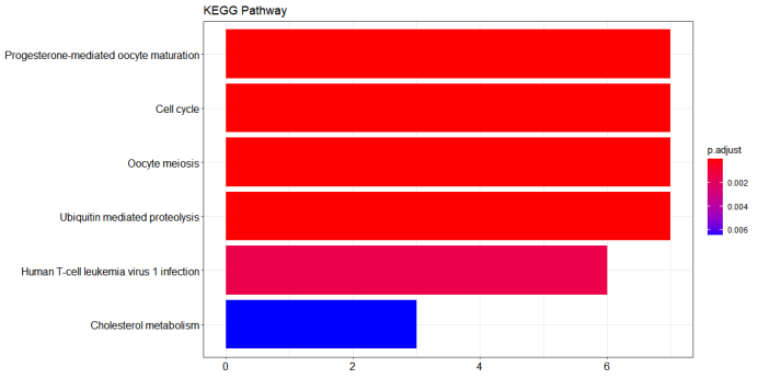 TCGA|GEO可视化分析第2篇---KEGG|GO分析大全_cnetplot-CSDN博客
