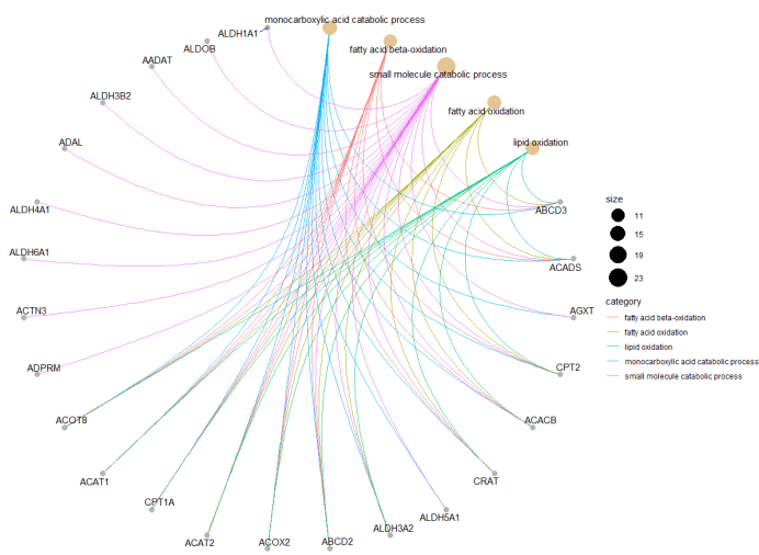 TCGA|GEO可视化分析第2篇---KEGG|GO分析大全_cnetplot-CSDN博客