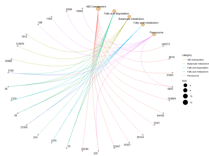 TCGA|GEO可视化分析第2篇---KEGG|GO分析大全_cnetplot-CSDN博客