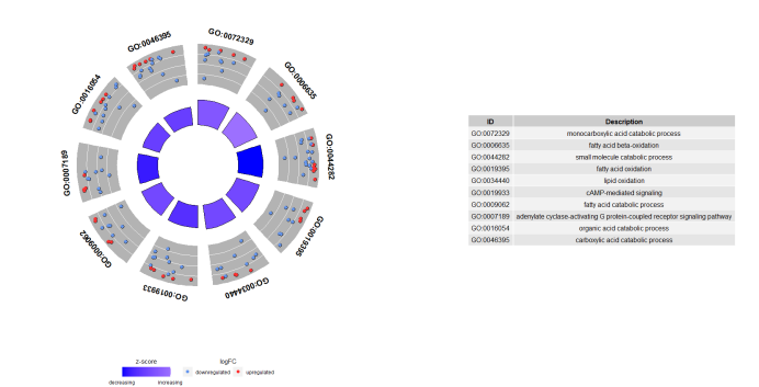 TCGA|GEO可视化分析第2篇---KEGG|GO分析大全_cnetplot-CSDN博客