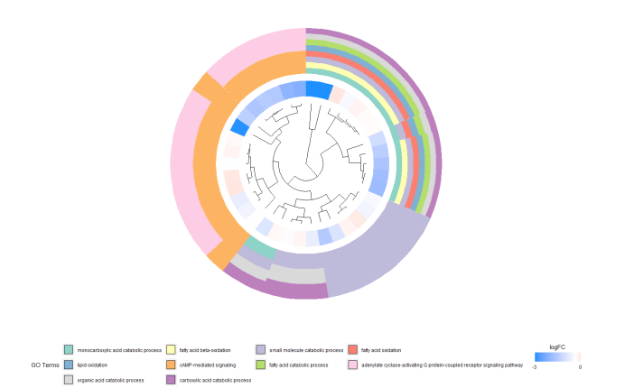 TCGA|GEO可视化分析第2篇---KEGG|GO分析大全_cnetplot-CSDN博客