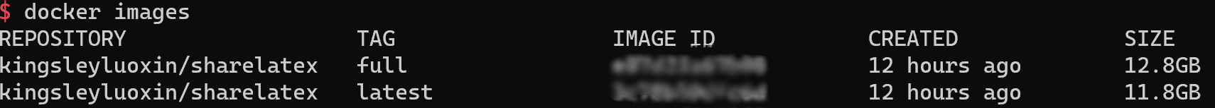 如何使用 docker 搭建本地 overleaf 服务器_doccker overleaf-CSDN博客