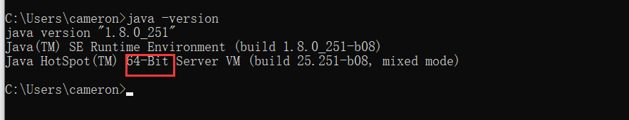 Failed to load the JNI shared library "C:\Program Files\Java\jre1.8.0_251\bin\server\jvm.dll ...
