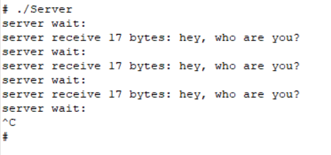 虚拟机ubuntu和开发板UDP Socket通信实例_ubuntu命令行收发udp-CSDN博客
