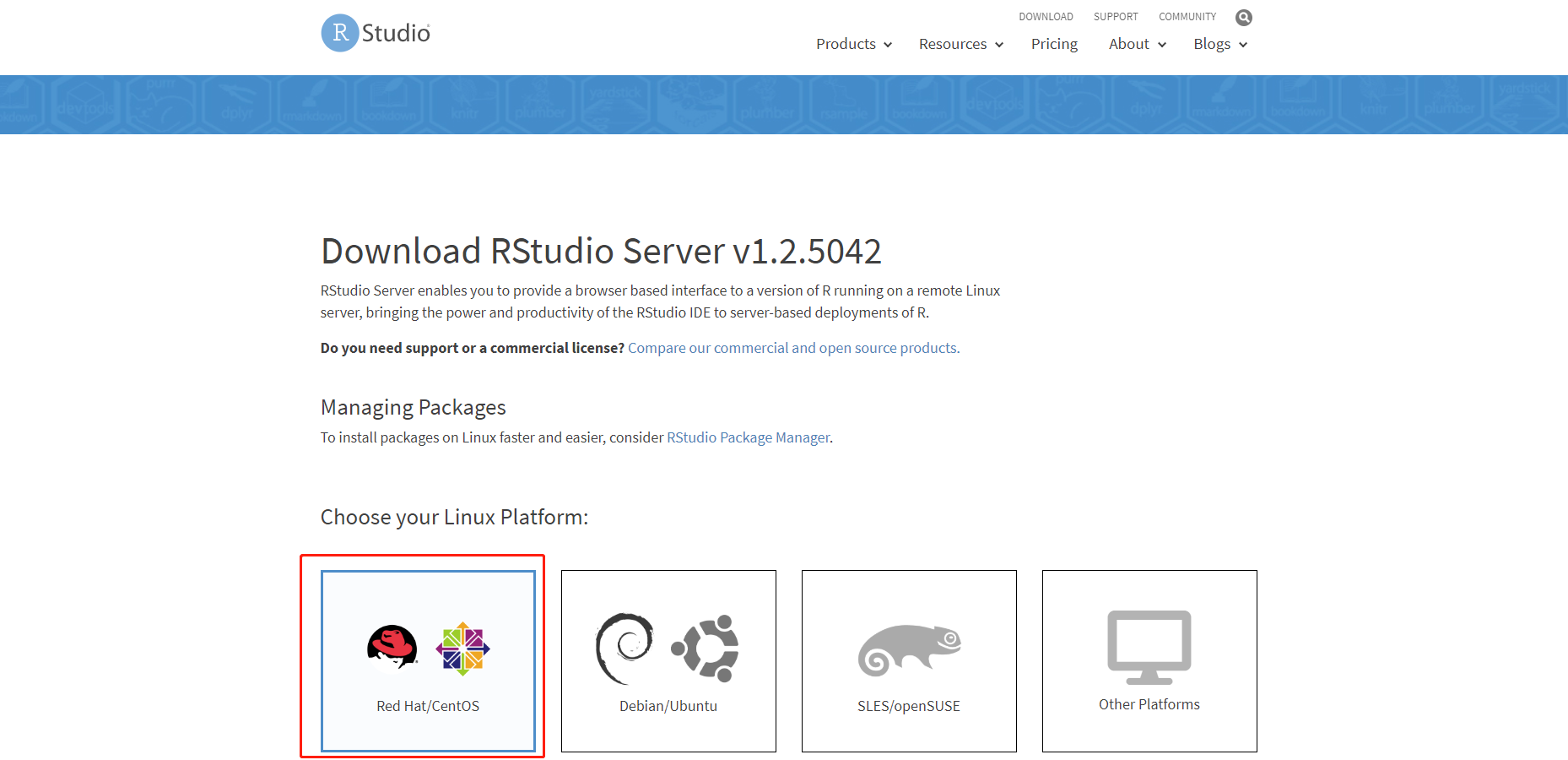 网页版R--RStudio Server_rstudio网页版-CSDN博客