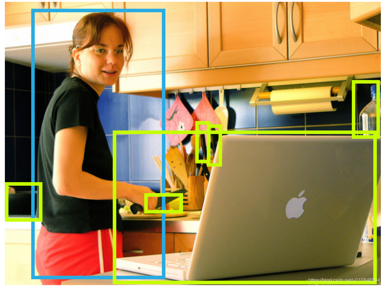 Pose Aware Multi Level Feature Network For Human Object Interaction
