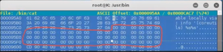 Kali linux 学习笔记（八十四）免杀——backdoor-factory 2020.4.20_patch shellcode-CSDN博客
