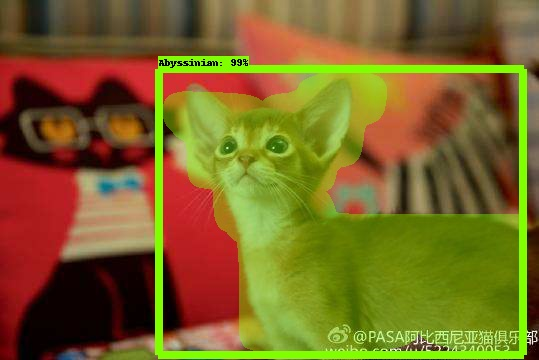 TensorFlow 训练 Mask R-CNN 模型 (1)_mask rcnn 在tensorflow 框架下的路径-CSDN博客