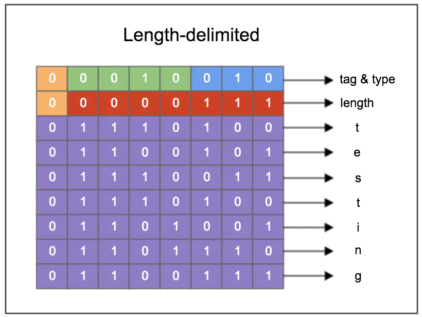 protobuf编码和存储方式详解_protobuf bytes类型数据存取-CSDN博客
