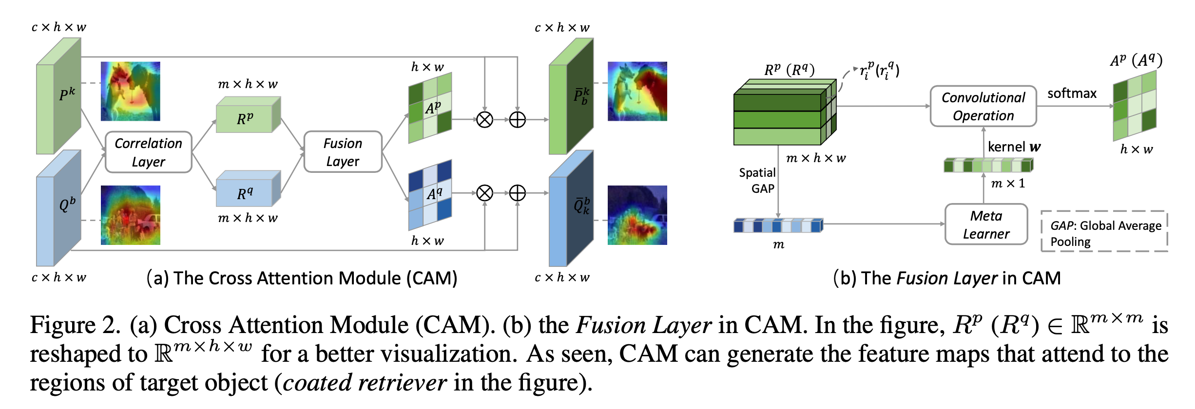 论文阅读：Cross Attention Network for Few-shot Classification-CSDN博客