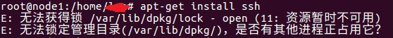 Ubuntu输入apt Get Install Vim 、apt Get Install Ssh 出错 无法获得锁 无法锁定管理目标 的解决方法sudo Apt Get Install