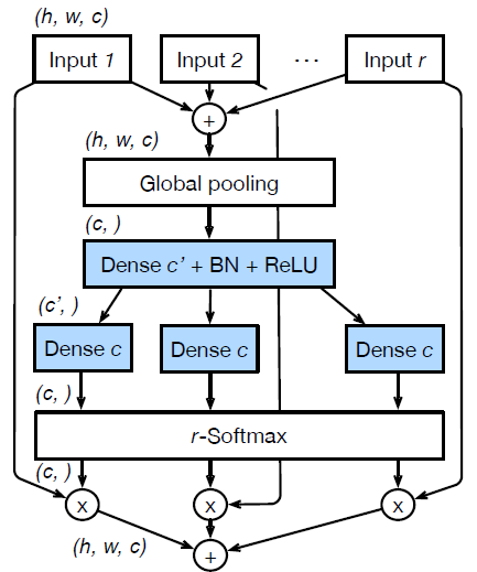 resnet的演化（res2net，resnext，se-resnet，sk-resnet，resnest）_resnest sknet-CSDN博客
