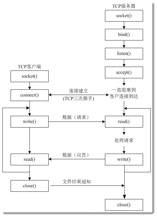 原始套接字 TCP UDP 数据包详解 分析 MAC 数据包 sendto 发送数据 飞鸽欺骗(UDP) 三次握手连接器(TCP)_socket.recv 原始套接字 数据包 解析-CSDN博客