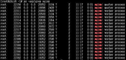 如何杀掉linux进程，强杀，批量杀_kill 9杀掉进程-CSDN博客