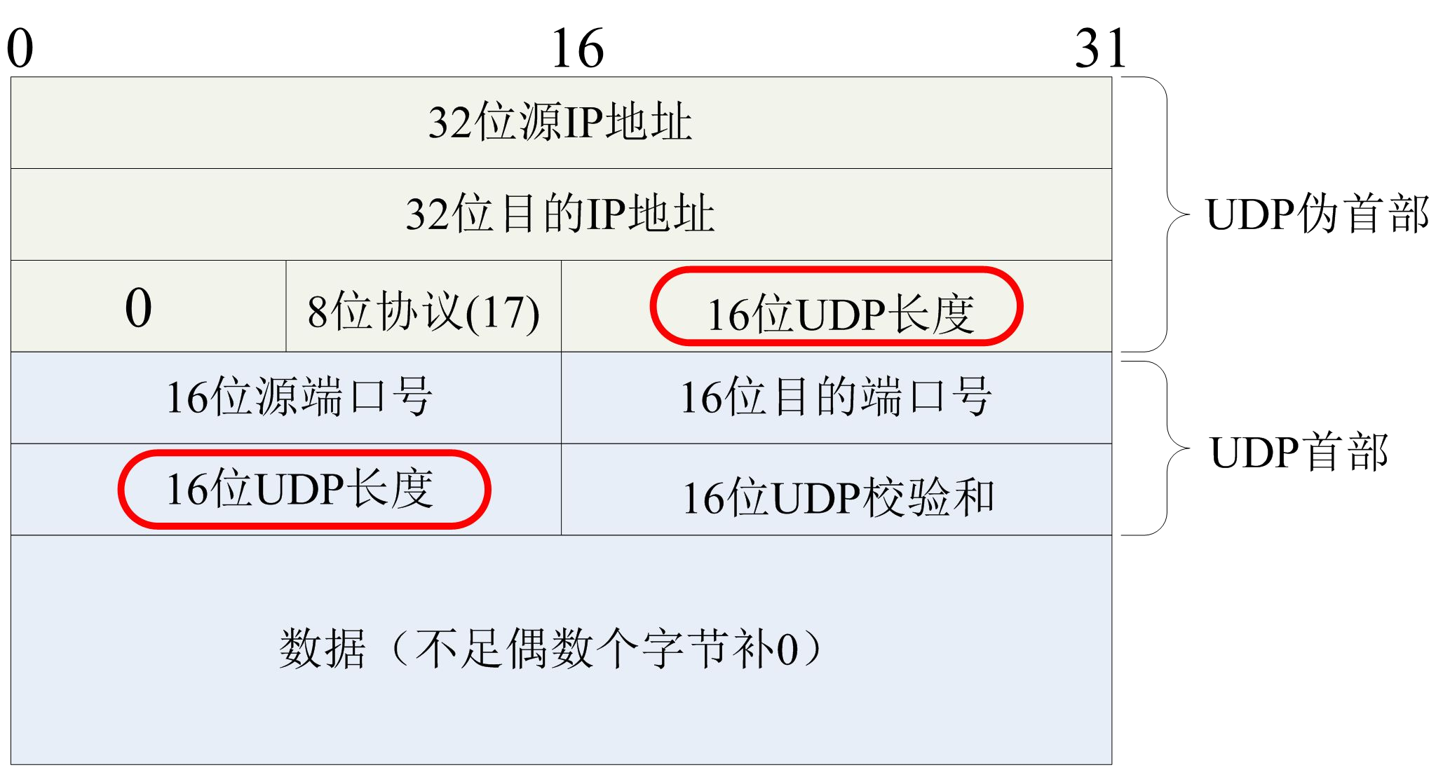 原始套接字 TCP UDP 数据包详解 分析 MAC 数据包 sendto 发送数据 飞鸽欺骗(UDP) 三次握手连接器(TCP)_socket.recv 原始套接字 数据包 解析-CSDN博客