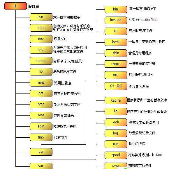 LInux 文件系统、根目录下的主要目录介绍，文件类型、查看方式、拓展名、属性，分区及挂载概念_查询根目录后怎么知道是什么文件类型和文件名 ...