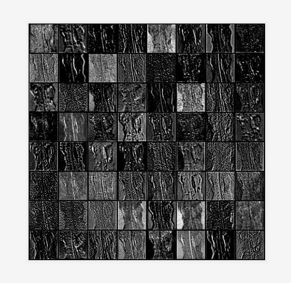 【pytorch】ResNet中间层可视化-CSDN博客