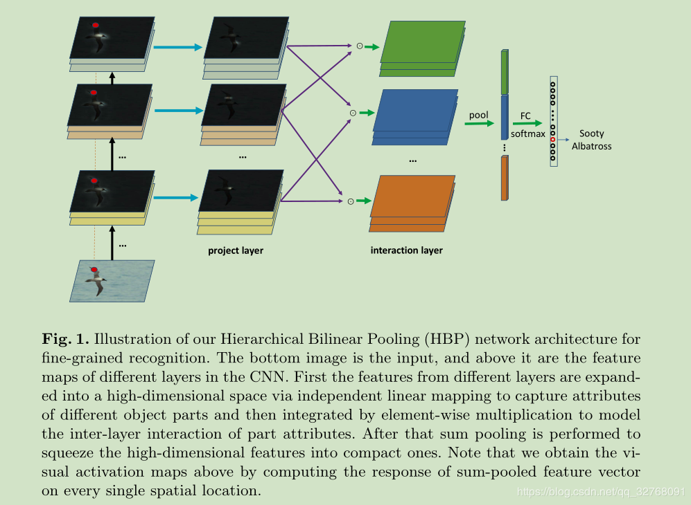 FGVC---Bilinear Pooling (双线性池化)及其发展-CSDN博客